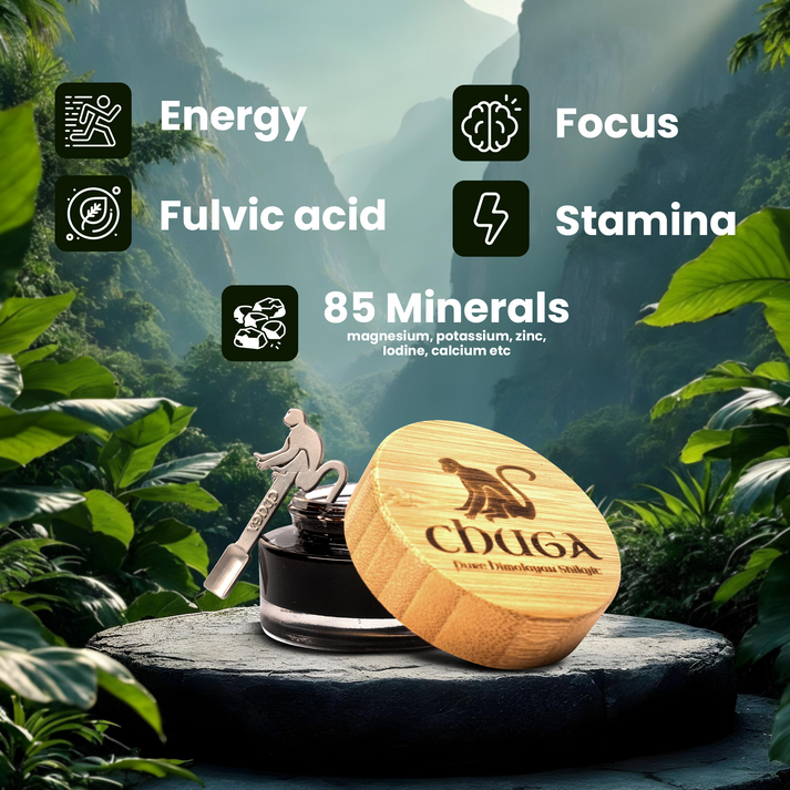 Chuga Himalayan Shilajit – Chuga Shilajit